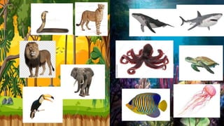 SORTING AND CLASSIFYING FAMILIAR WORDS 1.pptx