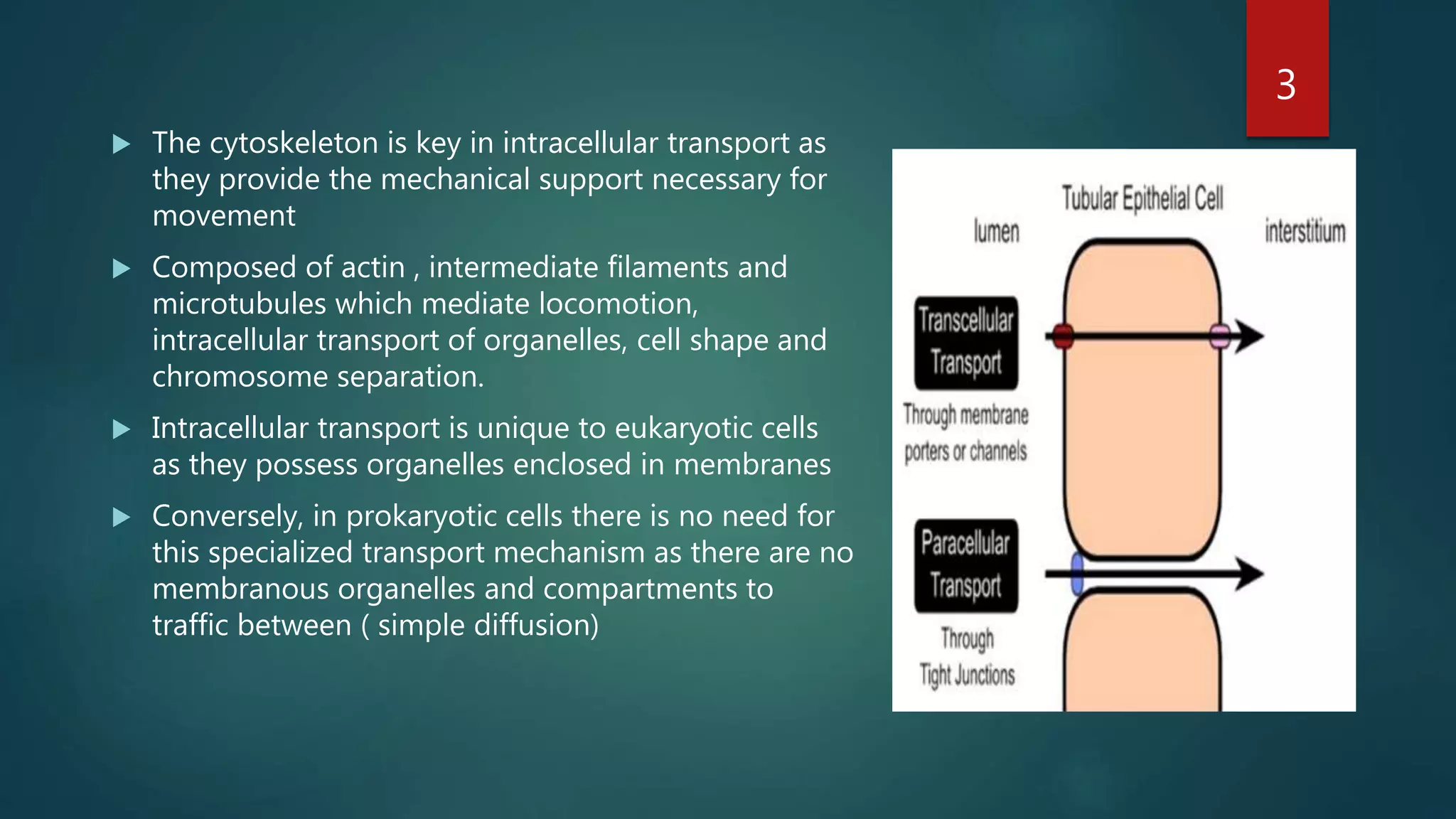 Sorting and sorting and regulation of intracellular transport | PPTX