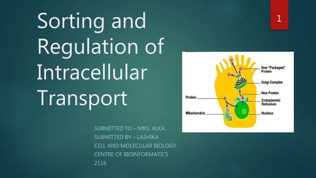Sorting and sorting and regulation of intracellular transport | PPTX