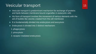 Sorting and sorting and regulation of intracellular transport | PPTX