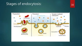 Sorting and sorting and regulation of intracellular transport | PPTX