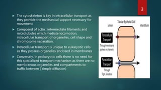 Sorting and sorting and regulation of intracellular transport | PPTX