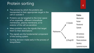 Sorting and sorting and regulation of intracellular transport | PPTX