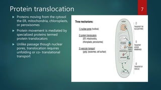 Sorting and sorting and regulation of intracellular transport | PPTX