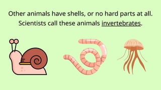 sorting animals vertebrates invertebrates.pptx