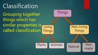 Sorting materials into groups | PPTX
