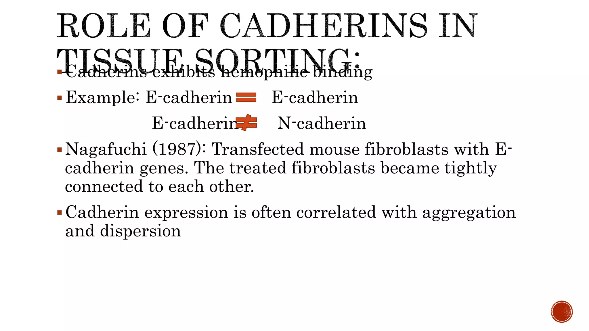 Sorting out embryonic tissue & cell recognition, M. Sc. Zoology ...