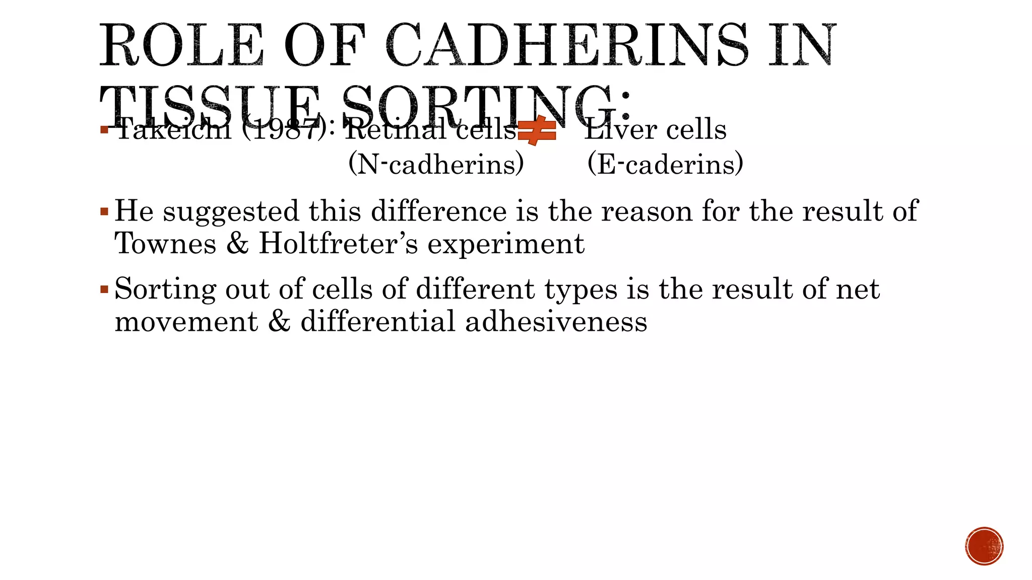 Sorting out embryonic tissue & cell recognition, M. Sc. Zoology ...