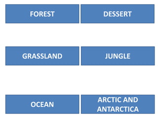 Sorting out the animals | PPTX
