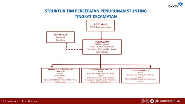 sosialisasi-tpps-dan-tpk di indonesia sebagai tim stunting | PDF