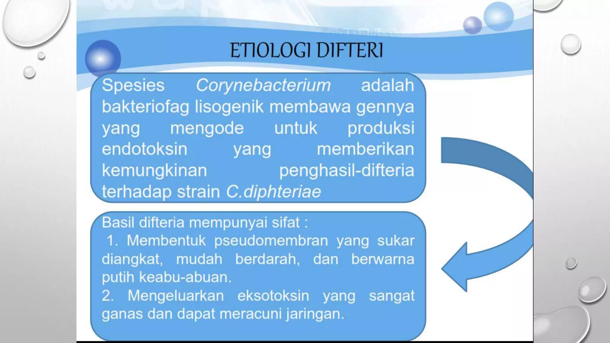 SOSIALISASI difteri erik.pptx