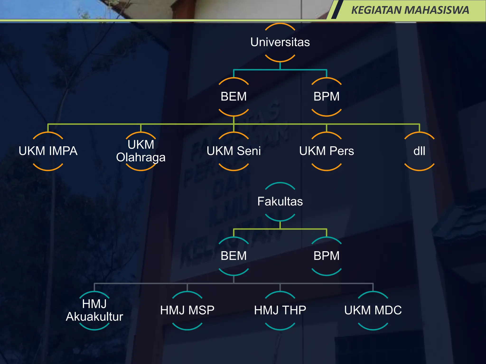 Sosialisasi Fakultas Perikanan dan Ilmu Kelautan UBT.pptx