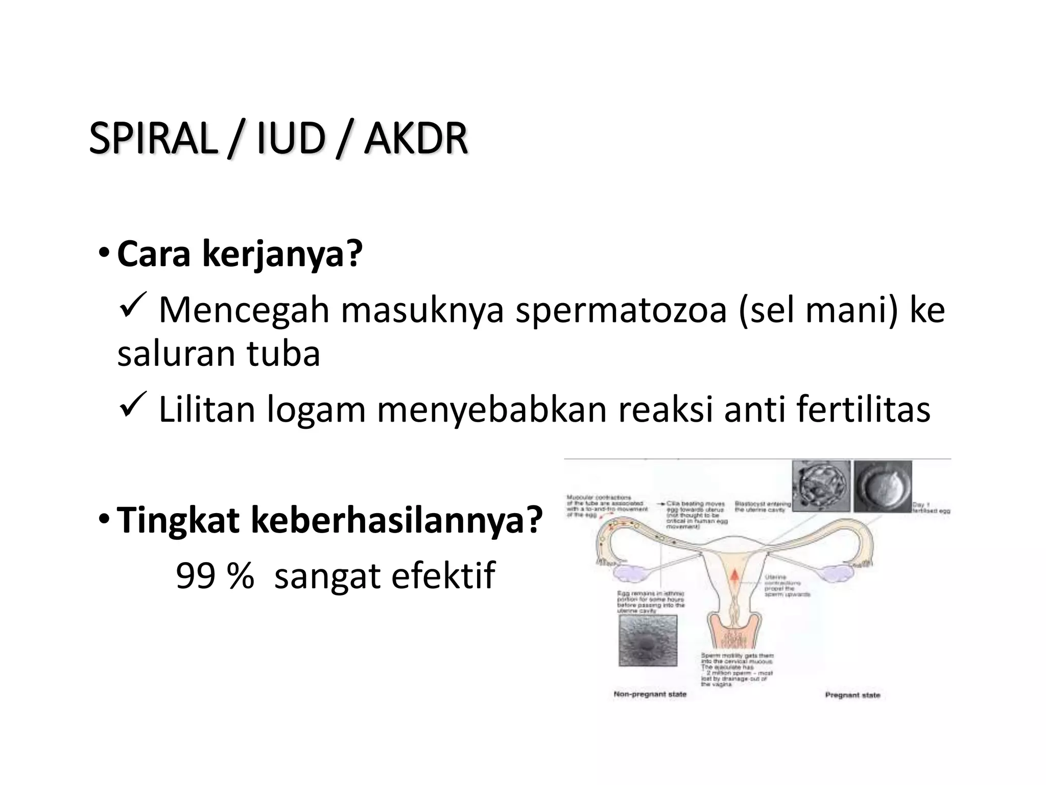 SOSIALISASI KB DENGAN MKJP.pptx