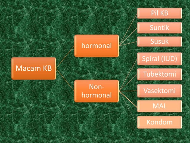 SOSIALISASI KB DENGAN MKJP.pptx