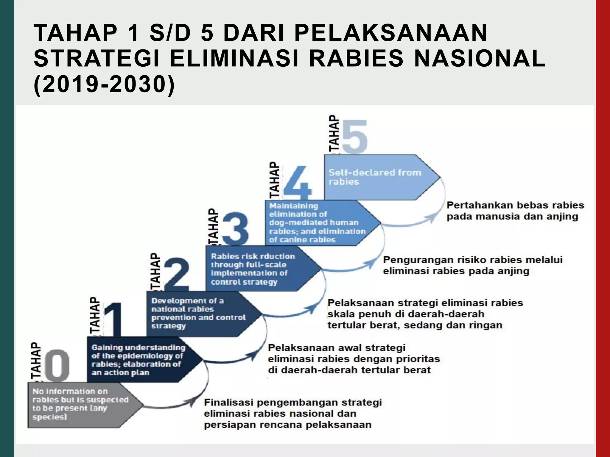 Sosialisasi One Health Roadmap Eliminasi Rabies Nasional 2030 - 31 ...