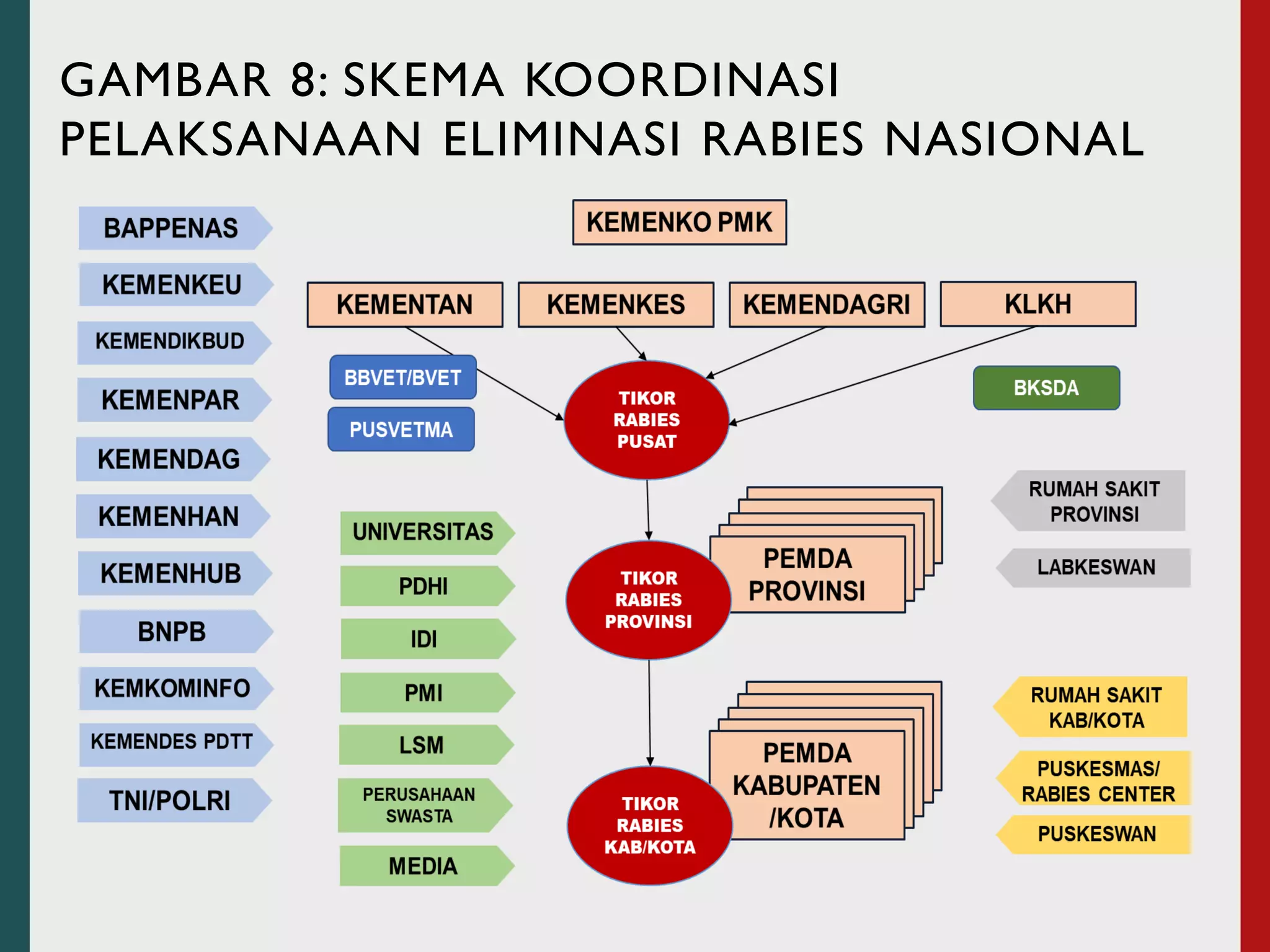 Sosialisasi One Health Roadmap Eliminasi Rabies Nasional 2030 - 31 ...