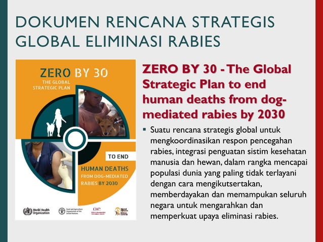 Sosialisasi One Health Roadmap Eliminasi Rabies Nasional 2030 - 31 ...