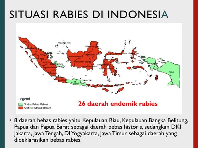 Sosialisasi One Health Roadmap Eliminasi Rabies Nasional 2030 - 31 ...