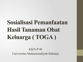 Sosialisasi Penghidupan Kebun TOGA dan Pemanfaatannya.pptx