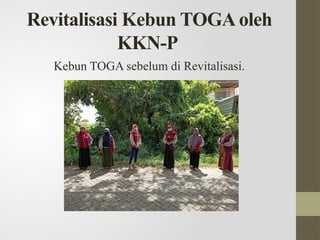 Sosialisasi Penghidupan Kebun TOGA dan Pemanfaatannya.pptx