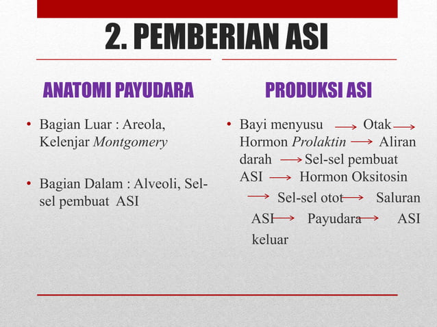 SOSIALISASI PMBA.pptx