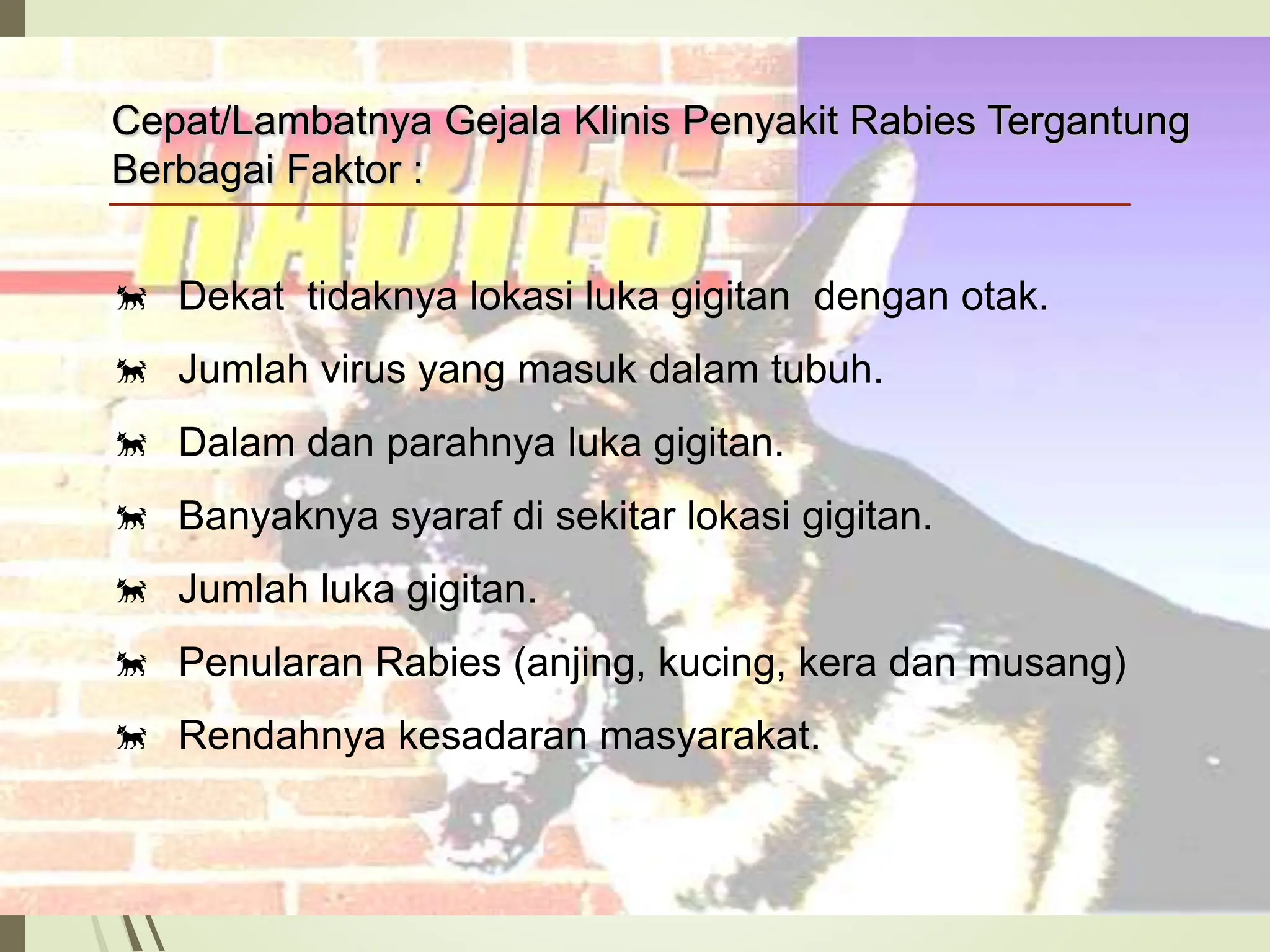 Sosialisasi Rabies 2020.ppt.pptxHGFFDFFDDDX | PPTX