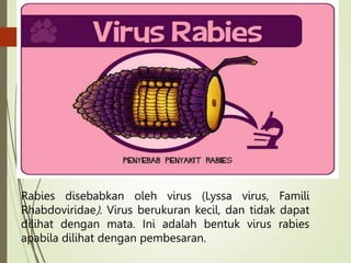 Sosialisasi Rabies 2020.ppt.pptxHGFFDFFDDDX | PPTX