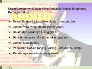 Sosialisasi Rabies 2020.ppt.pptxHGFFDFFDDDX | PPTX