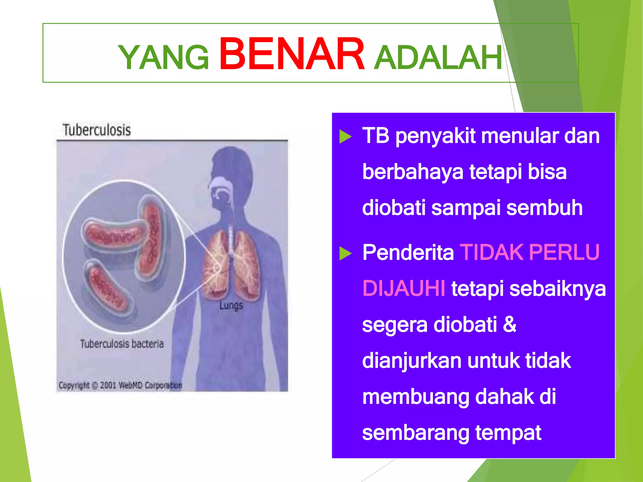 Penyuluhan Penyakit Menular Penyakit TB PARU Di Sekolah | PPT