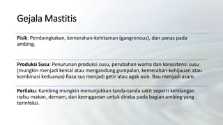 SOSIALISASI TENTANG PENYAKIT MASTITIS PADA KAMBING DALAM RANGKA PKM.pptx