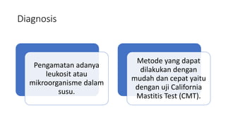 SOSIALISASI TENTANG PENYAKIT MASTITIS PADA KAMBING DALAM RANGKA PKM.pptx