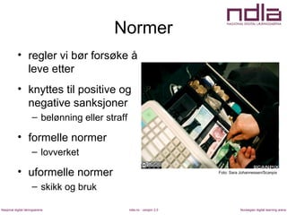 Sosialisering og roller presentasjon bm | PPT