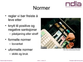 Sosialisering og roller presentasjon nn | PPT