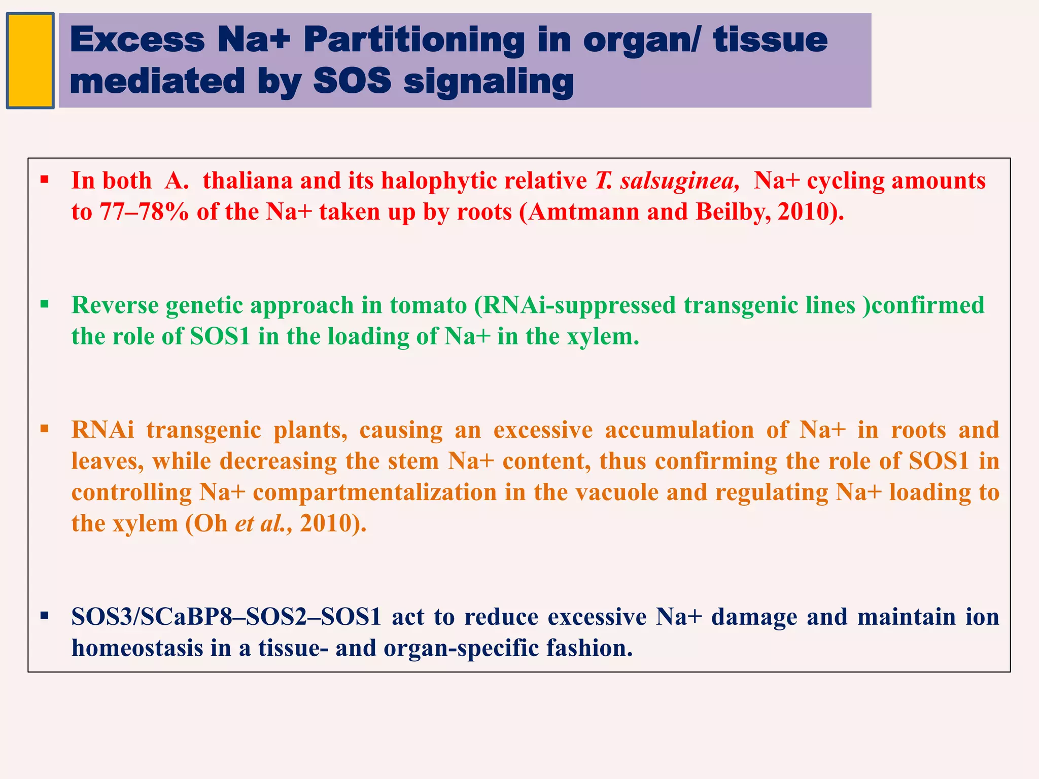 Sos pathway emerging new roles | PPTX