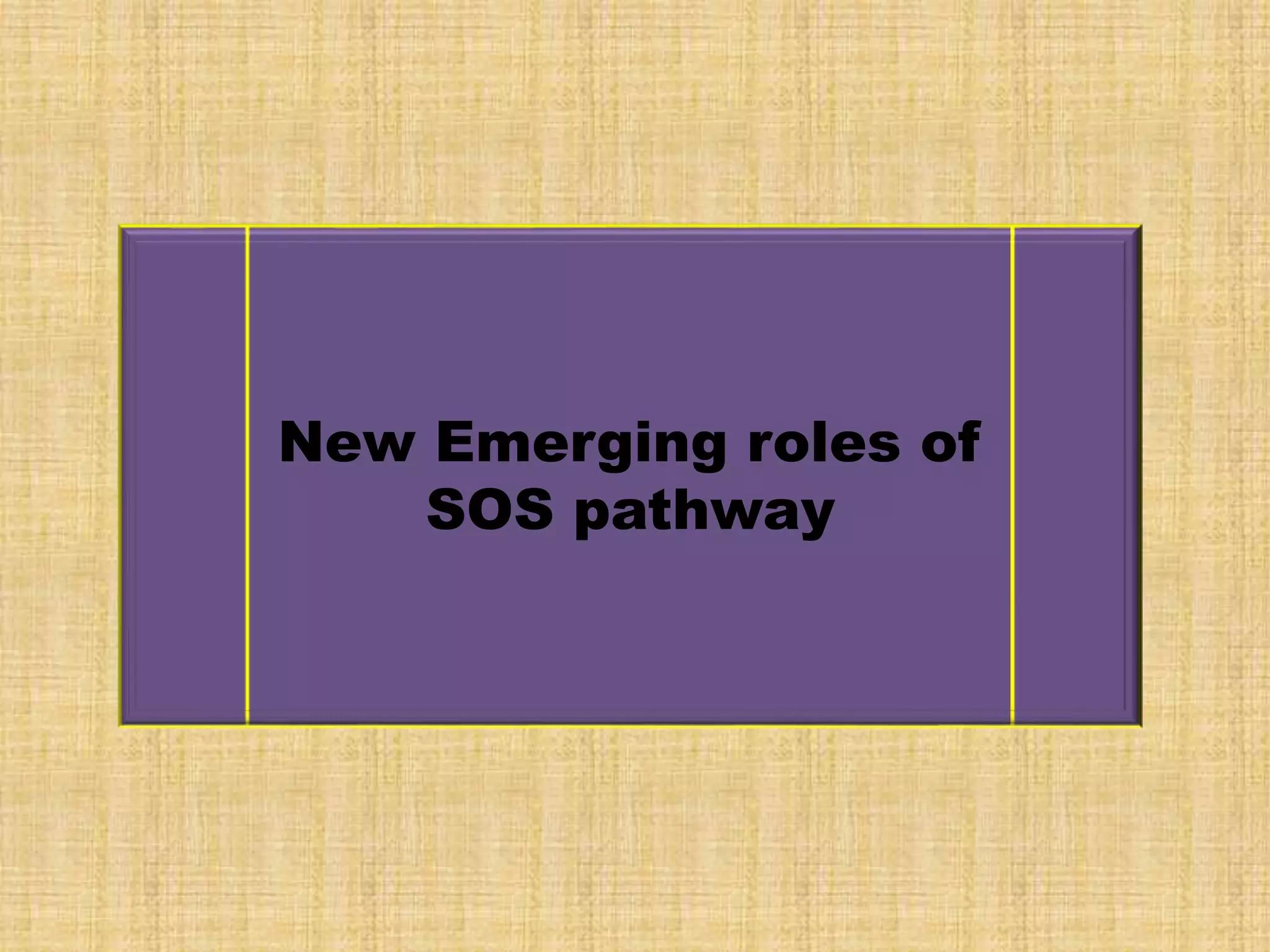 Sos pathway emerging new roles | PPTX