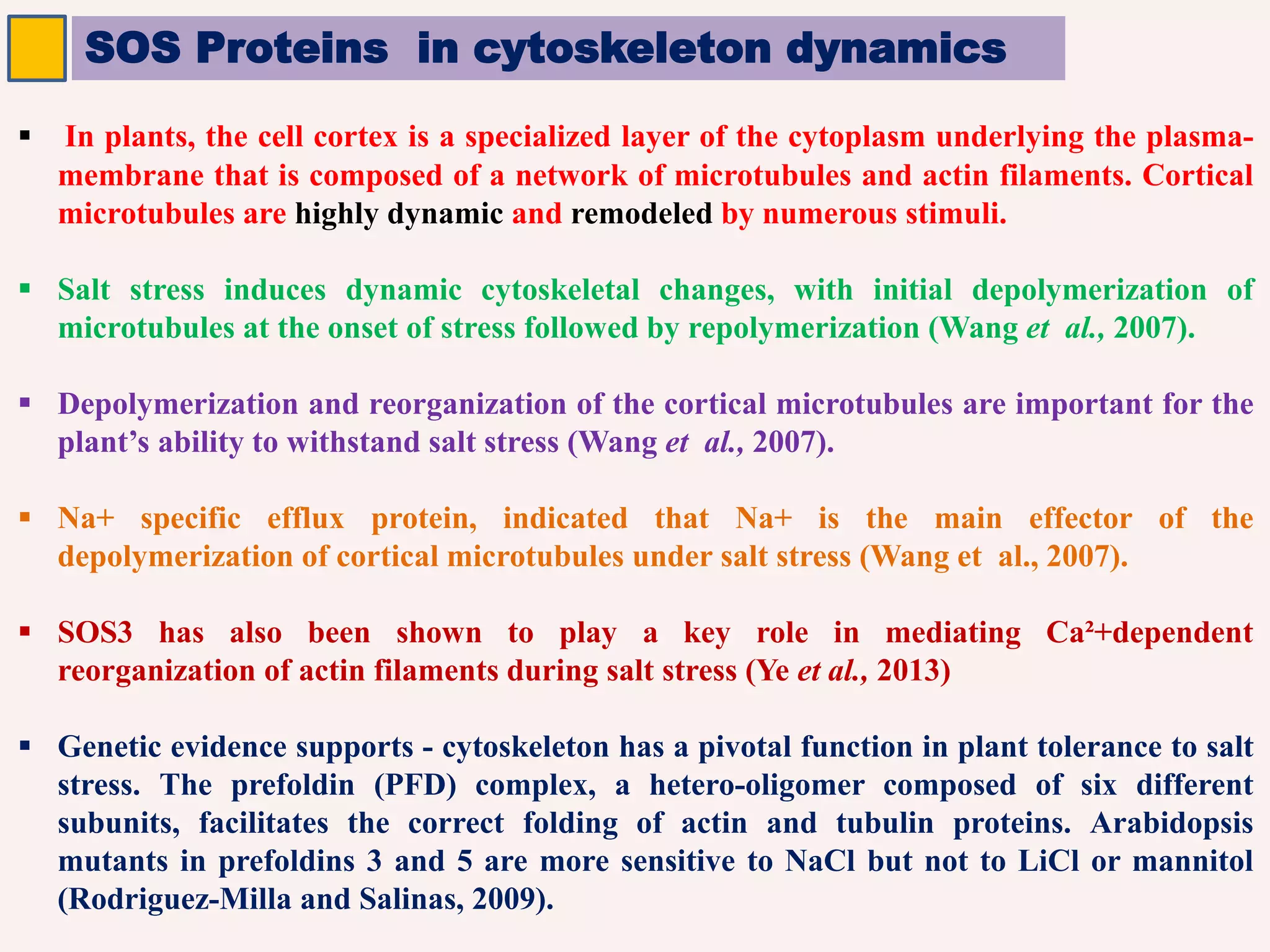 Sos pathway emerging new roles | PPTX