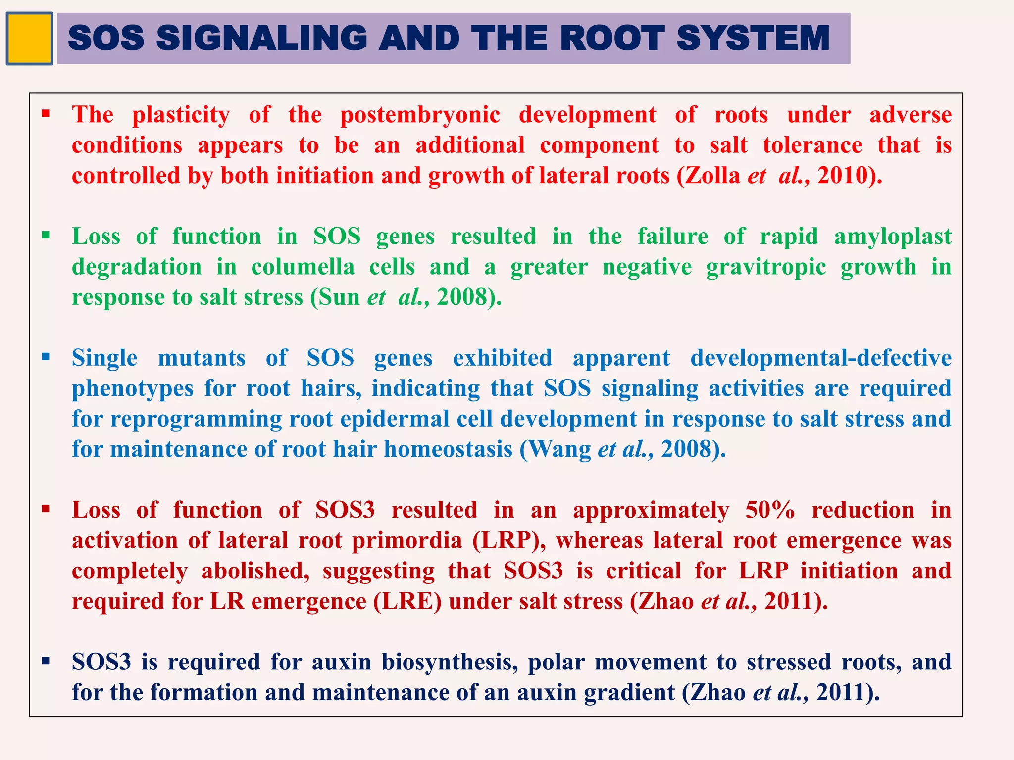 Sos pathway emerging new roles | PPTX