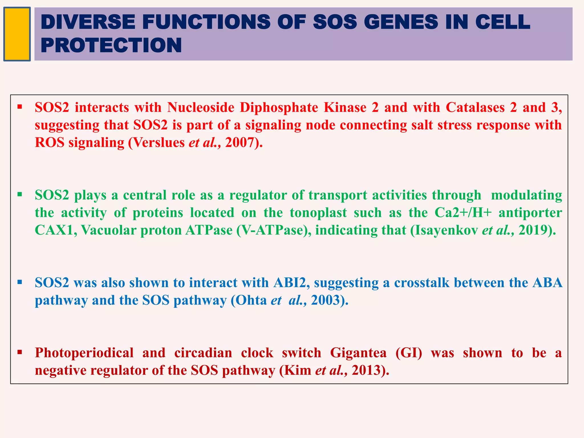 Sos pathway emerging new roles | PPTX