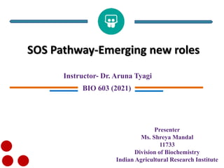 Sos pathway emerging new roles | PPTX