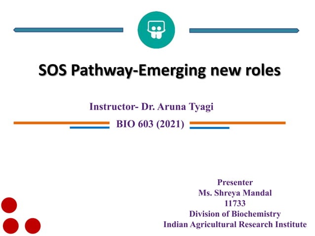 Sos pathway emerging new roles | PPTX