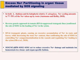 Sos pathway emerging new roles | PPTX