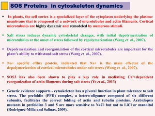 Sos pathway emerging new roles | PPTX