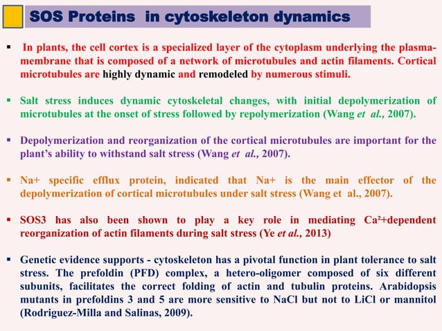 Sos pathway emerging new roles | PPTX