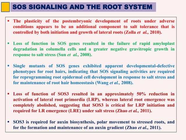 Sos pathway emerging new roles | PPTX