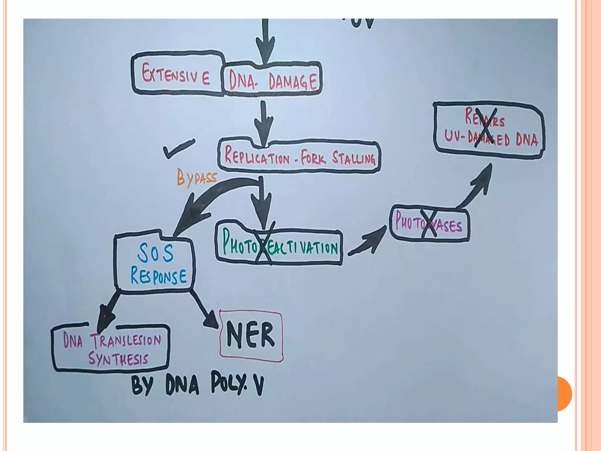 Sos repair mechanism | PPTX