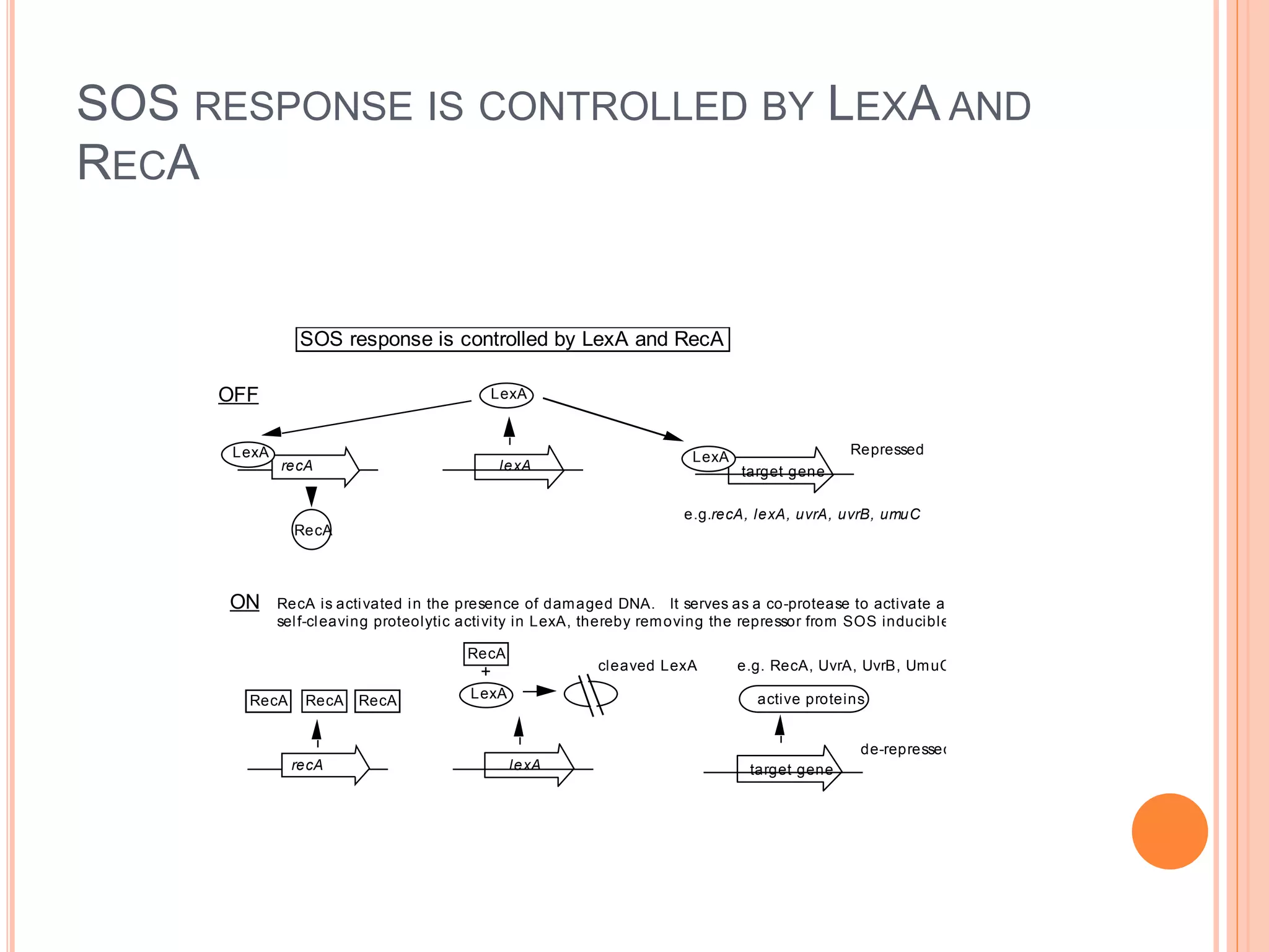 Sos repair mechanism | PPTX