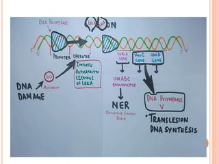 Sos repair mechanism | PPTX