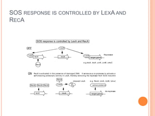 Sos repair mechanism | PPTX