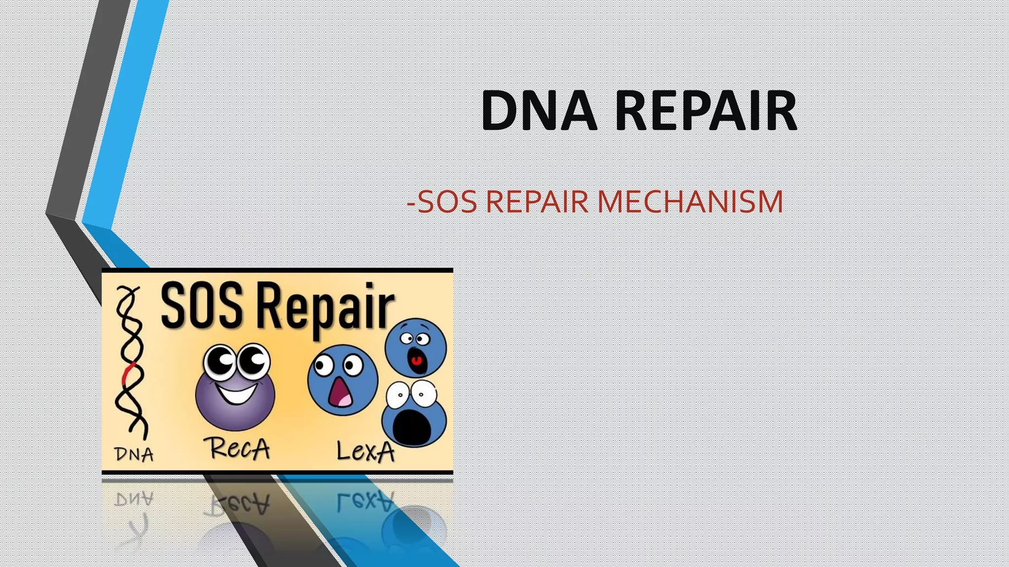 Sos repair | PPTX