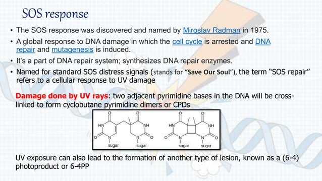 Sos repair | PPTX | Chemistry | Science